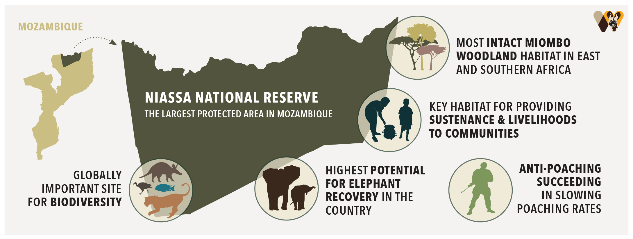 Niassa National Reserve: a future eden for elephants? > WCS Mozambique